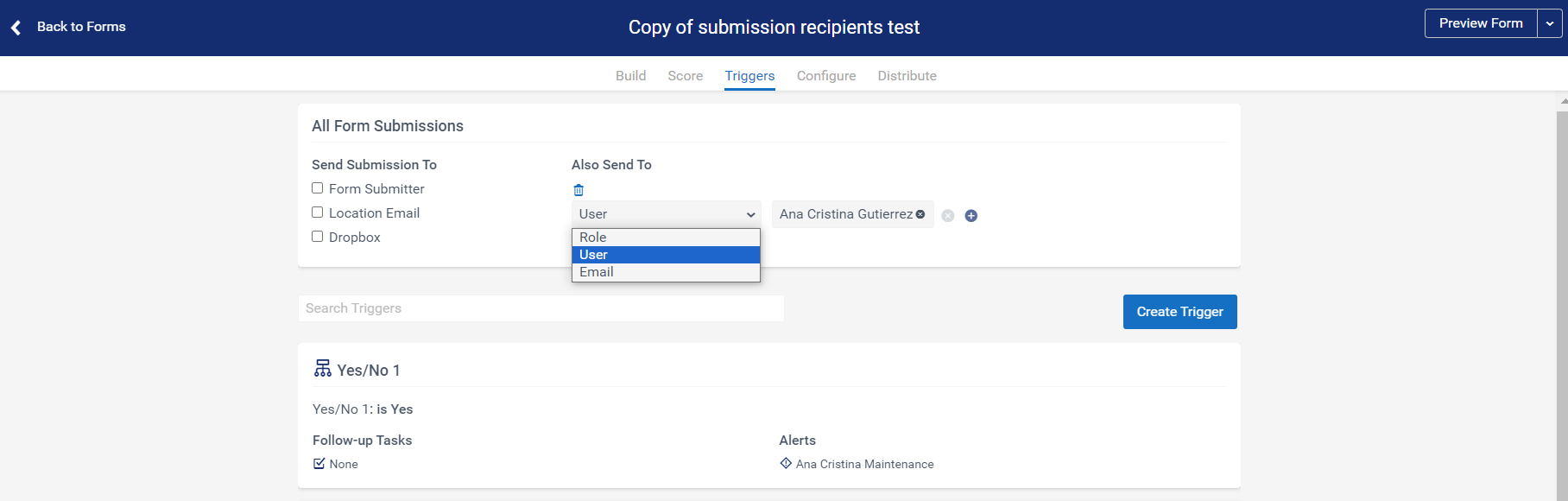 How to: Trigger routing of form submissions (Admin) – Crunchtime ...