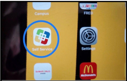How do I Update my Squadle Checklist App? – Crunchtime Support Services
